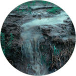 Taking a fresh look at our watercourses – WHS