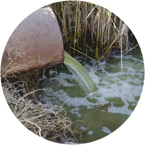 No time to waste - WHS