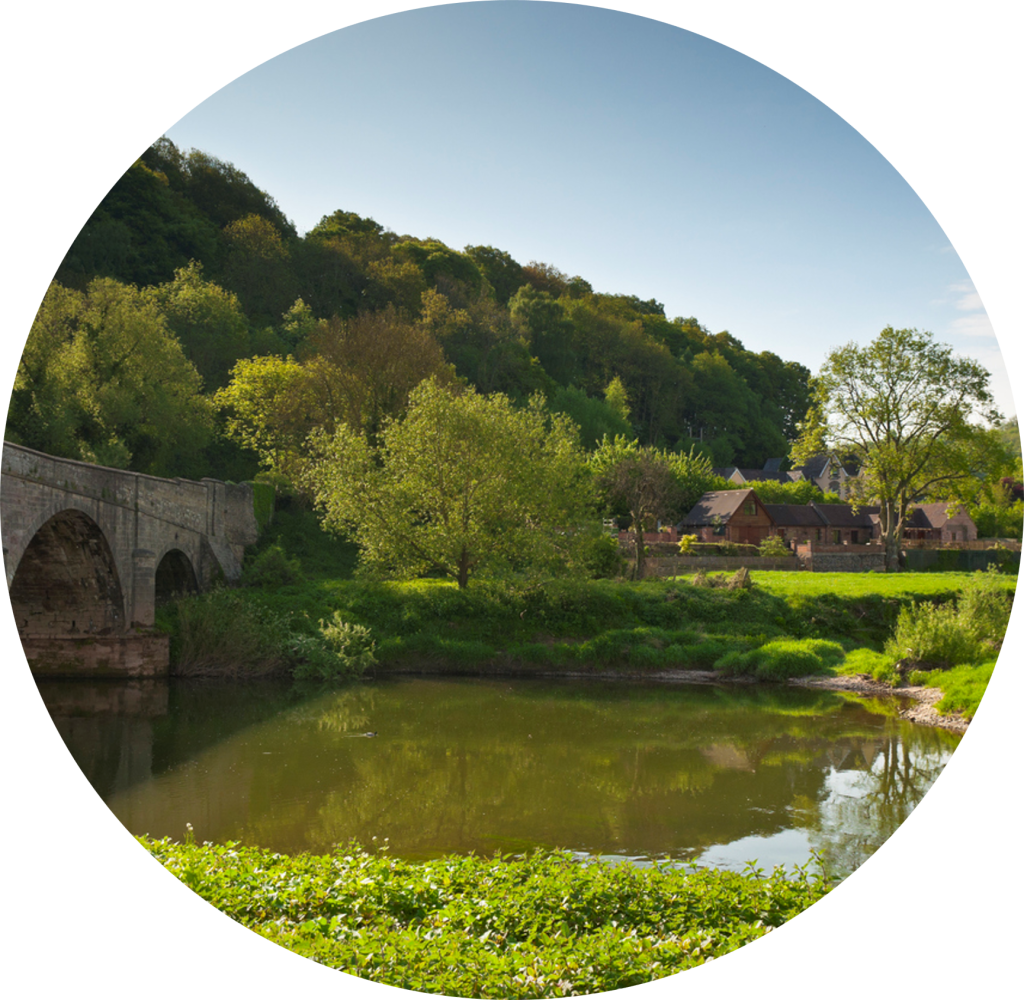 A recent history of the River Wye and its continued decline – WHS